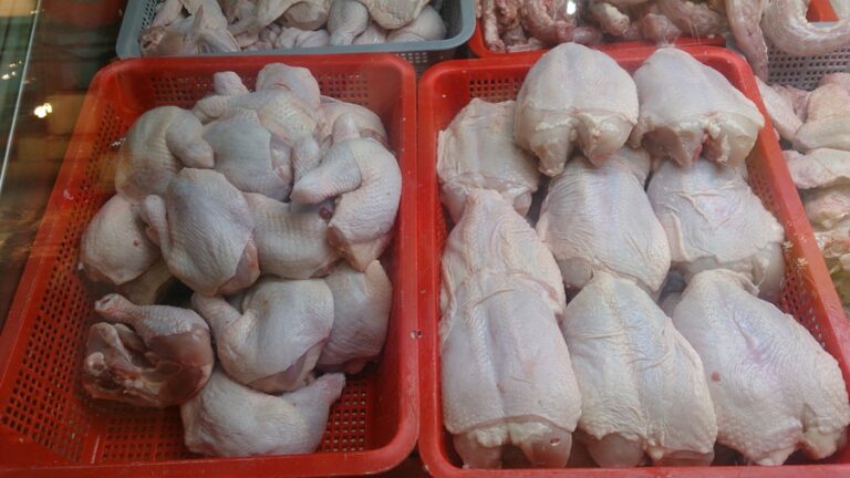 Can Basset Hounds Eat Chicken? - Basset Hound Enthusiast